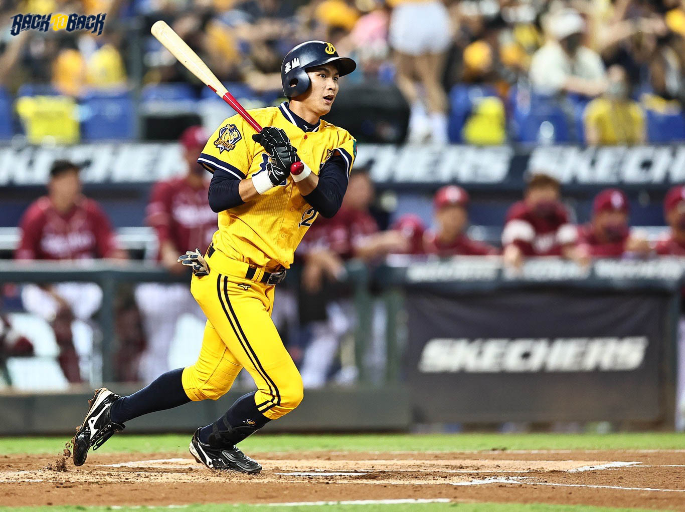 21歲岳政華成史上最年輕總冠軍賽MVP 看到主場拋彩帶感動到想哭 - TSNA體育新聞團隊