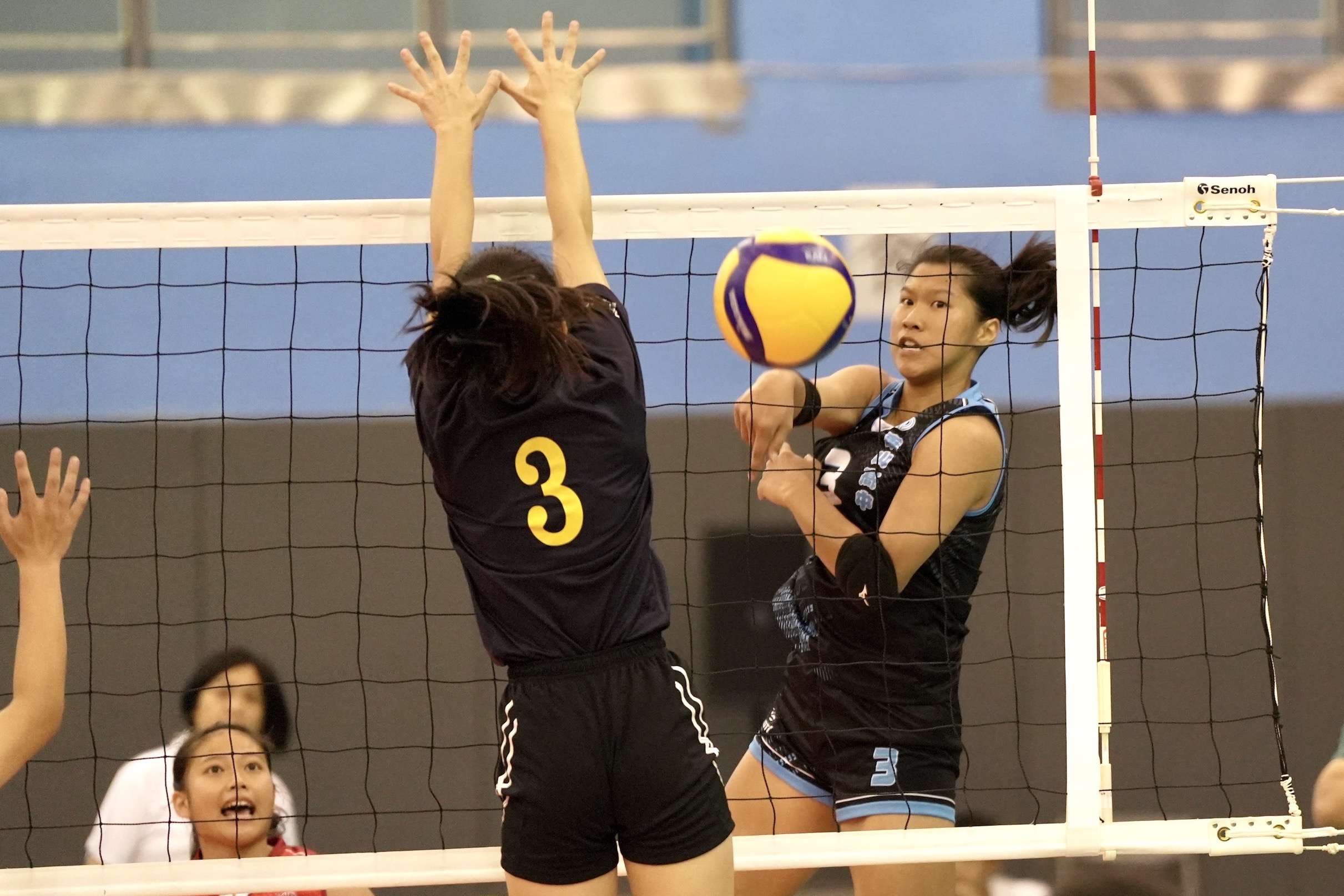 HVL前哨戰 登峰造極青年排球邀請賽 東山、豐商稱后封王 - TSNA體育新聞團隊