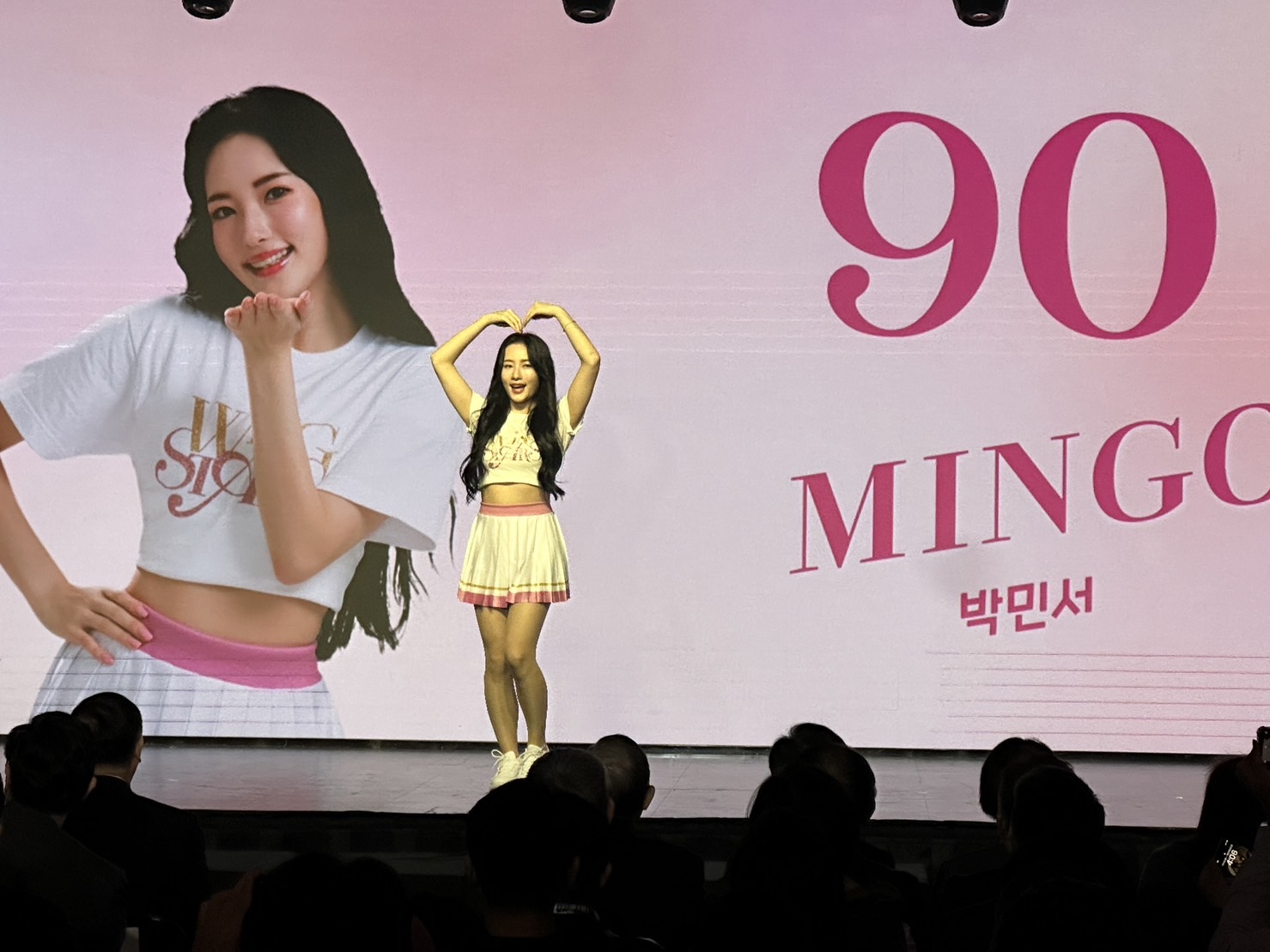 中職唯一「雙洋將」啦啦隊 台鋼朴旻曙喊：我是天花板 - TSNA體育新聞團隊