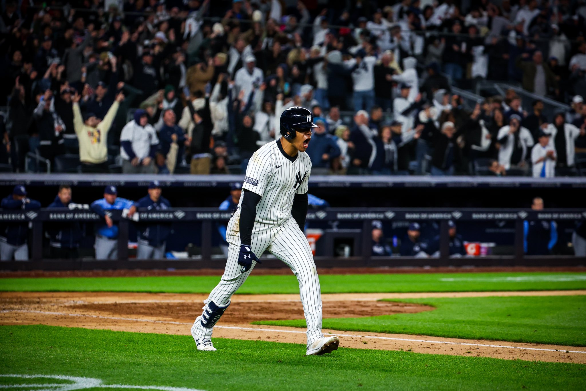 MLB》影／Soto轟3分彈嗨翻主場 洋基教頭驚到錯過慶祝 - TSNA體育新聞團隊