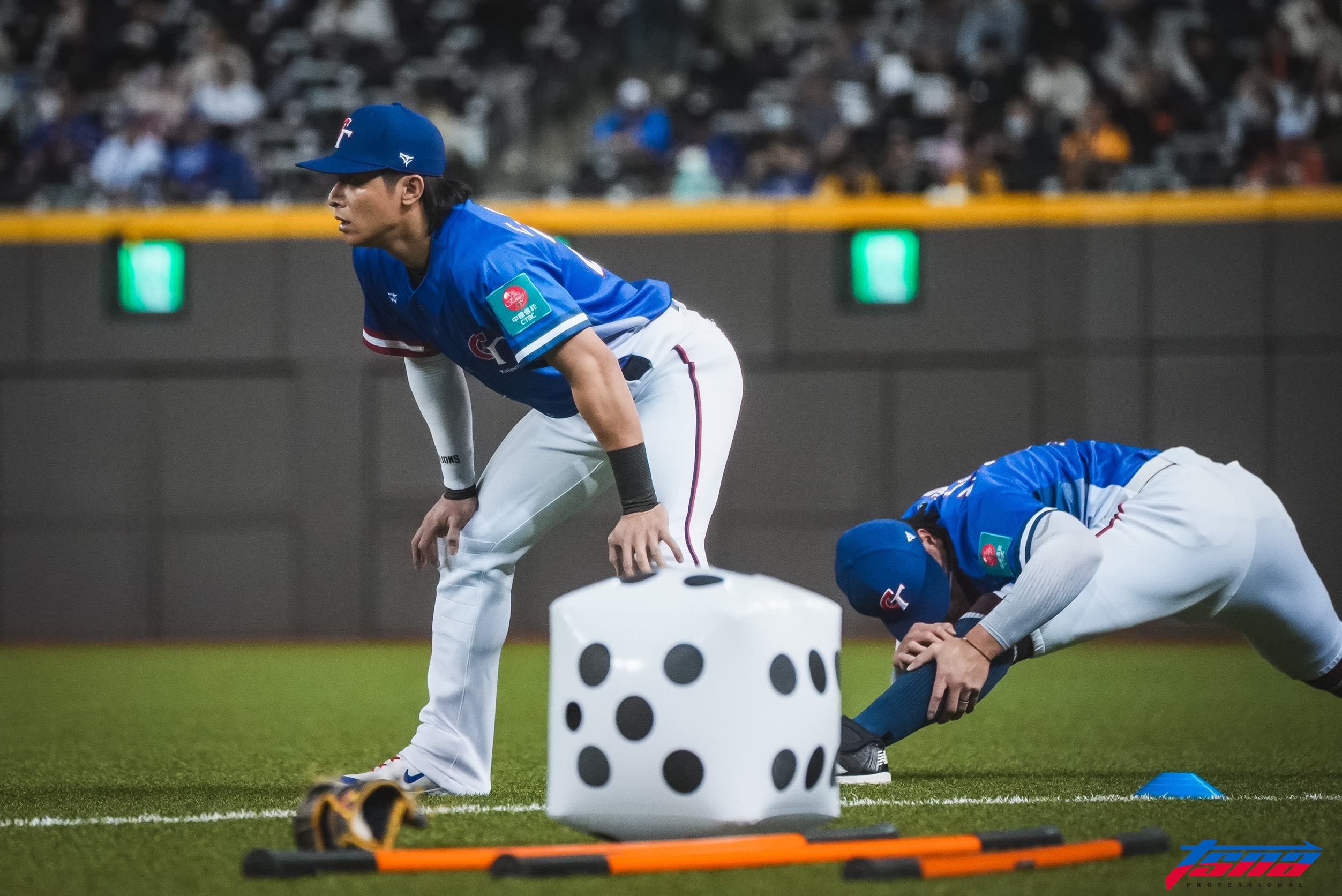 WBC資格賽》神器來了！ 12強奪冠超級幸運物666骰子送到 - TSNA體育新聞團隊