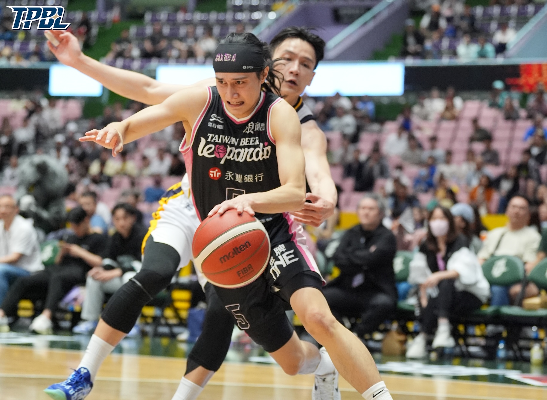 TPBL》高錦瑋8分11籃板7助攻 雲豹險勝特攻保季後賽希望 助攻夢想家晉級 - TSNA體育新聞團隊