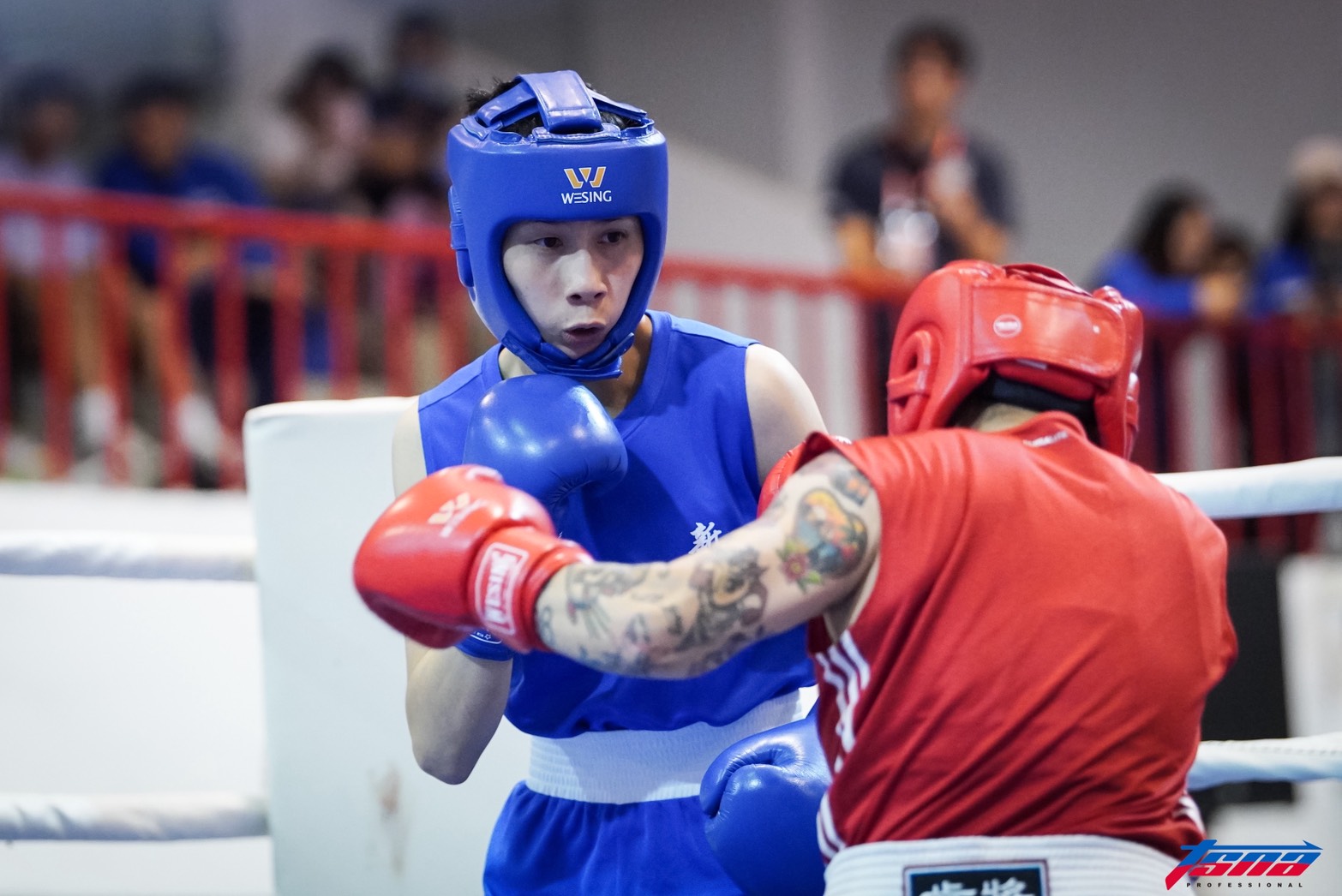 全運》拳擊4金釵全數摘金 林郁婷打到職業對手提前丟毛巾 - TSNA體育新聞團隊